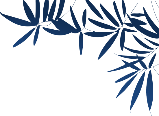 Crypto.com NFT: Buy NFTs from a leading Marketplace featuring top projects